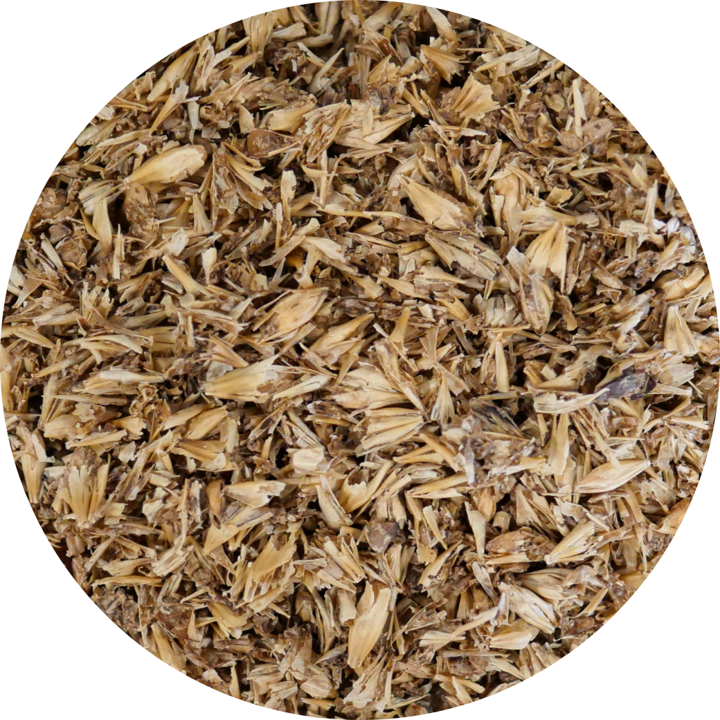 Les drêches de malt brutes et le son – Maltivor